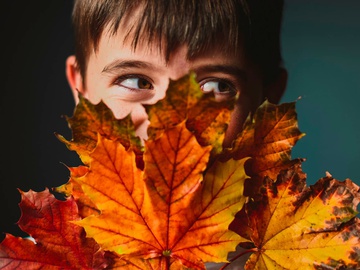 Stock-Fotos, Stock-Fotografie und lizenzfreie Bilder | Adobe Stock