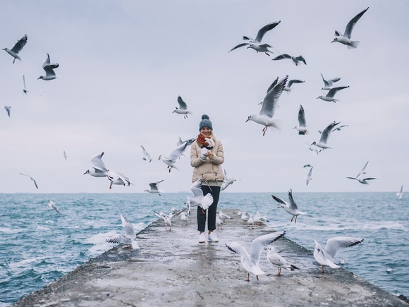 Stock-Fotos, Stock-Fotografie und lizenzfreie Bilder | Adobe Stock