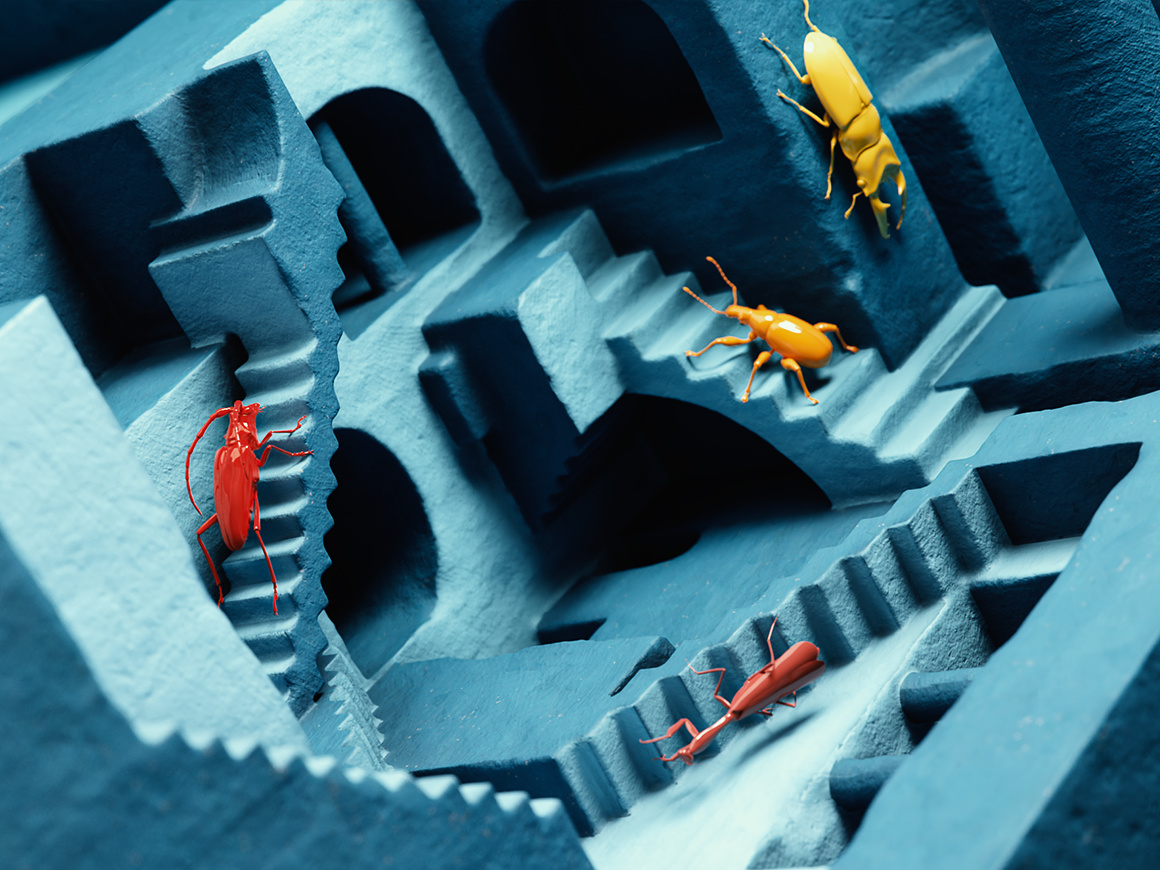 The Art of 3D Insects inspirational stock assets | Adobe Stock